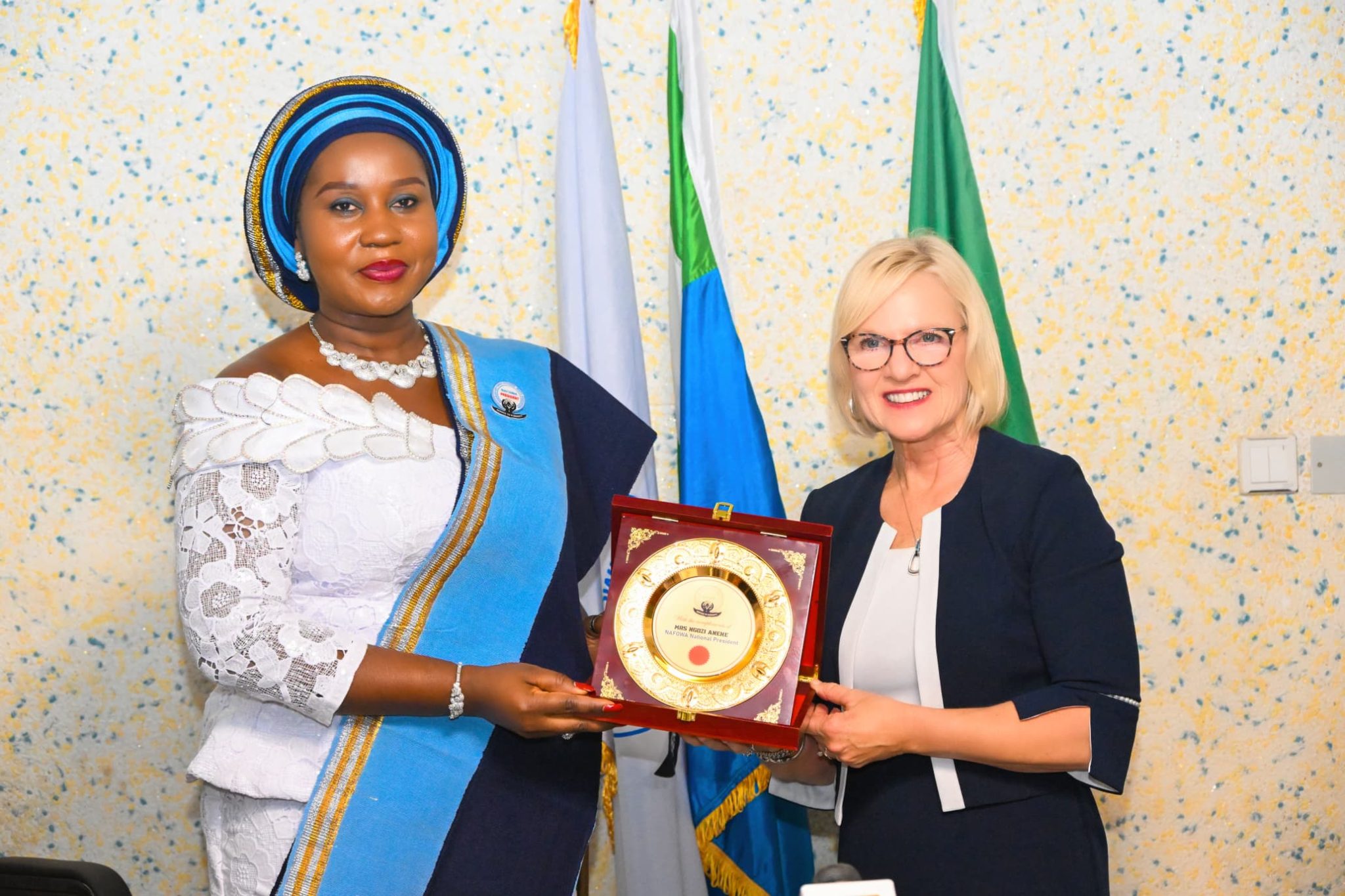 NAFOWA seeks global partnership to boost humanitarian support to military widows, children ...